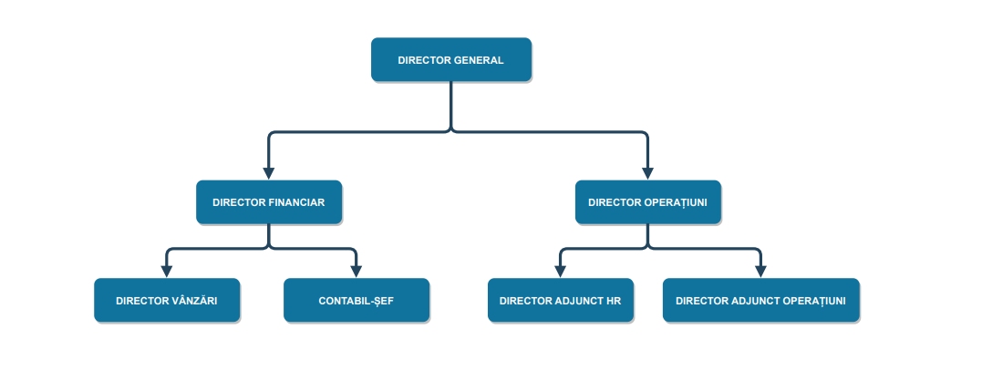 Organigrama Firmei – Ce este și 3 Modele Populare | Covera